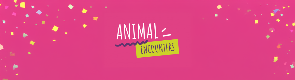 Animal Encounters