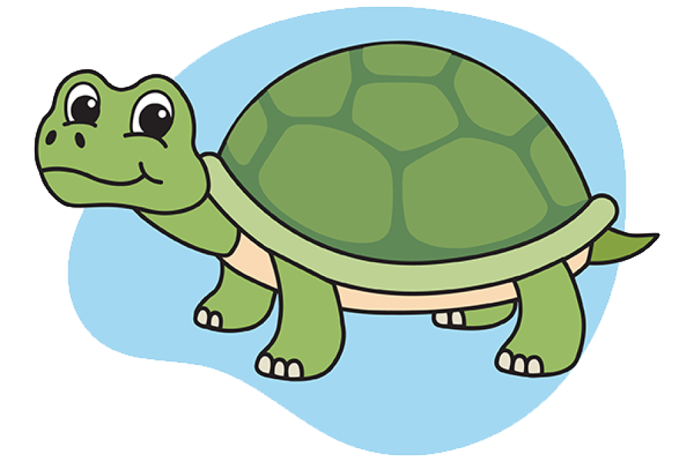 Animal Encounters
