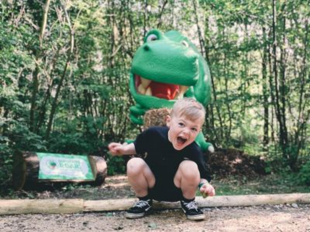 The World of Dinosaur Roar!