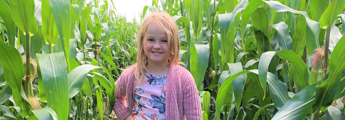Maize Maze
