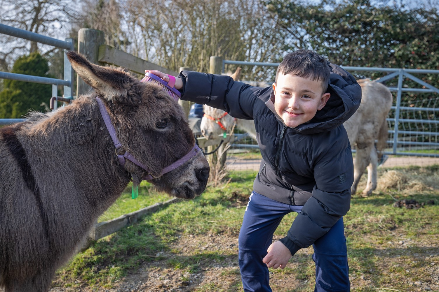 You’ll find over 20 types of animals here at Manor Farm Park