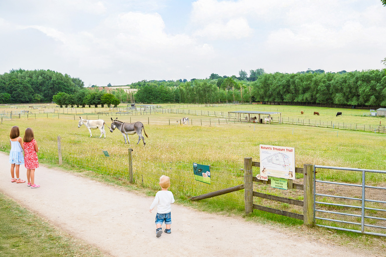 Explore Manor Farm Park & Woodlands where Every day is an adventure