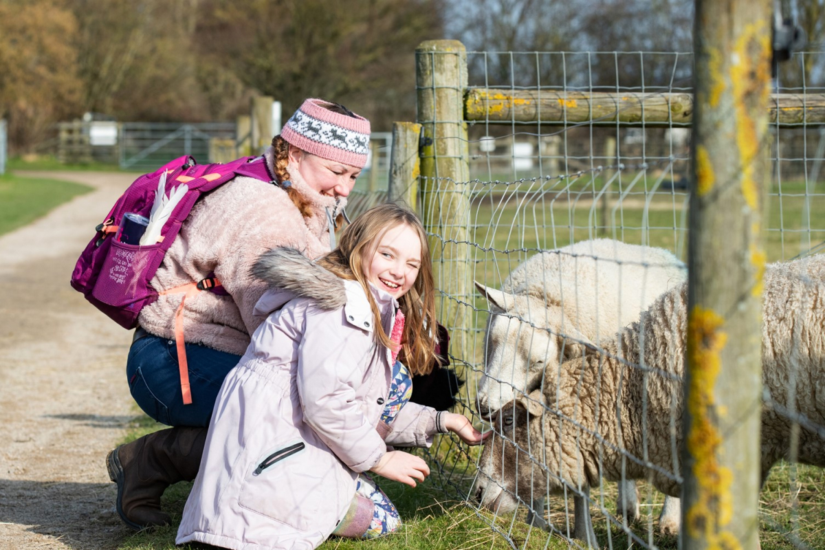 Tickets & Prices at Manor Farm Park & Woodlands