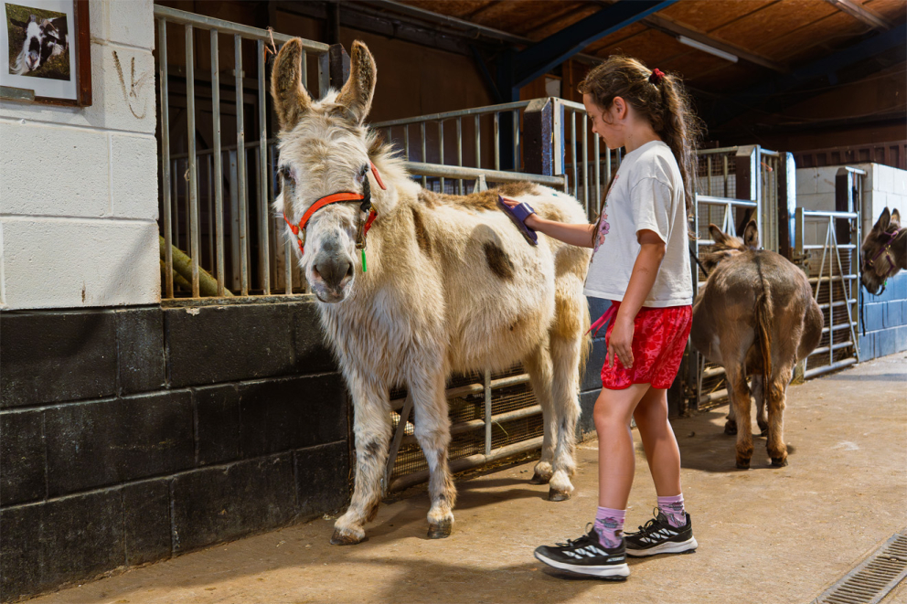 Explore Manor Farm Park & Woodlands where Every day is an adventure