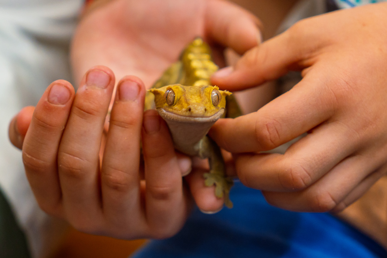 Explore Manor Farm Park & Woodlands where Every day is an adventure