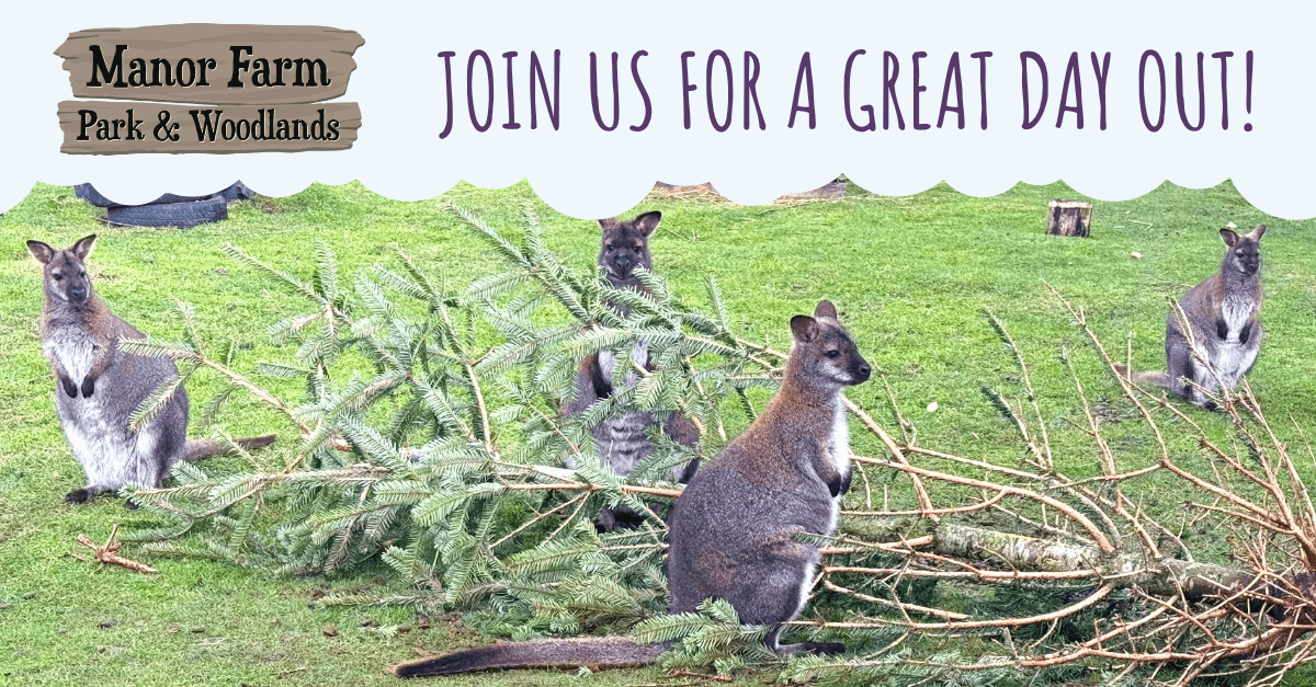 The World of Dinosaur Roar!